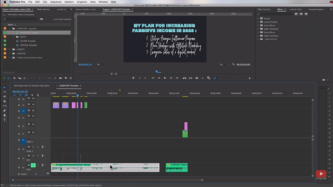How to Create a Premiere Pro Project Template – Meredith Marsh