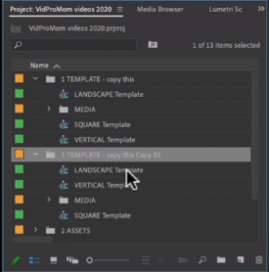How to Create a Premiere Pro Project Template – Meredith Marsh